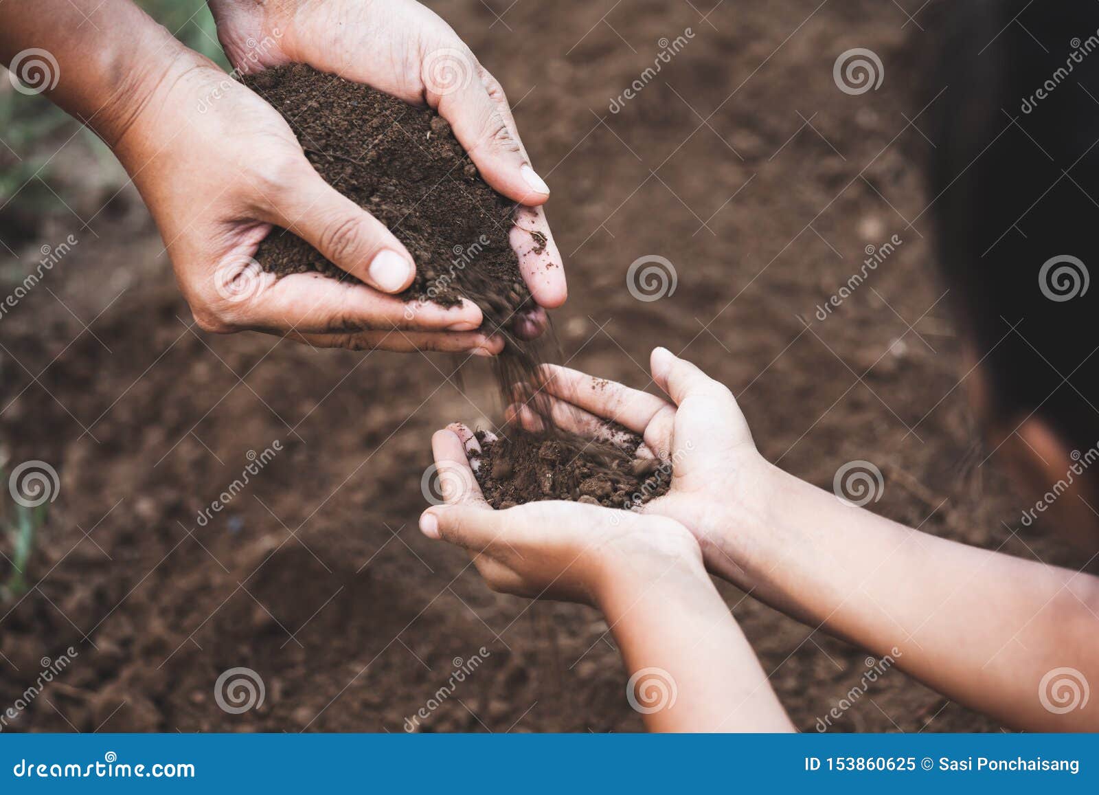 Child and Parent Holding Soil and Preparing Soil for Plant the Tree ...