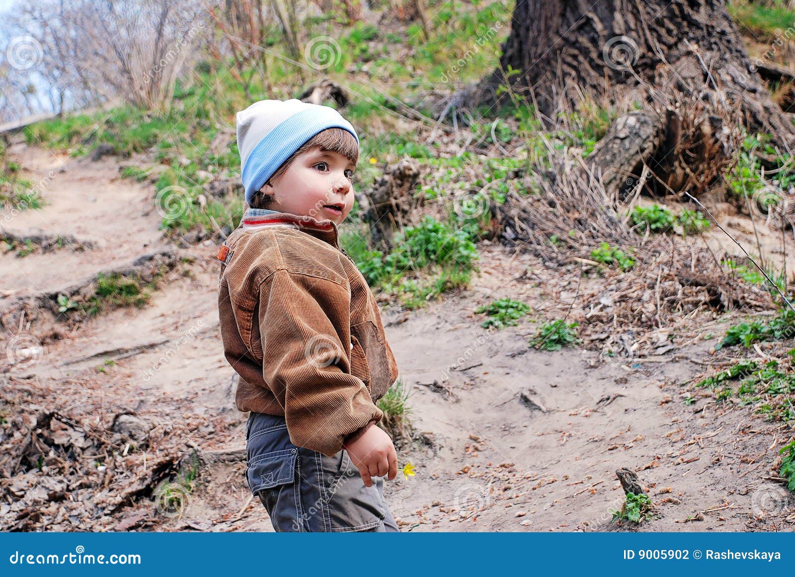 Child on a path in-field stock photo. Image of beautiful - 9005902