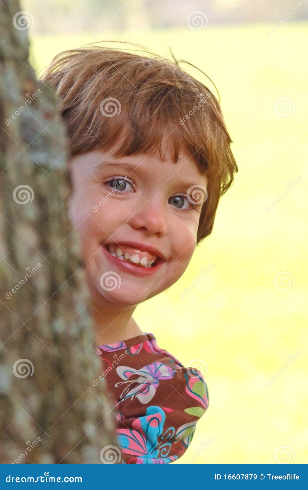 Child Peeking from Behind a Tree Stock Image - Image of girl, peek ...