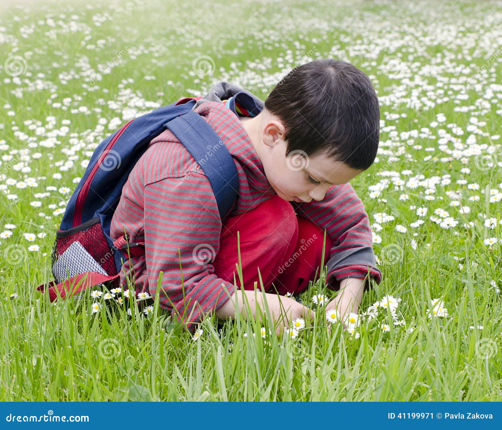 Child picking daises stock image. Image of learning, education - 41199971