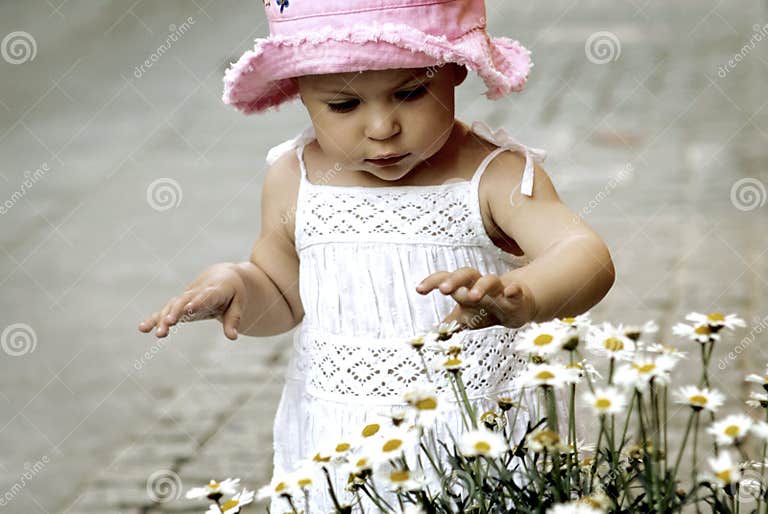 Child picking flowers stock image. Image of toddler, small - 13443413