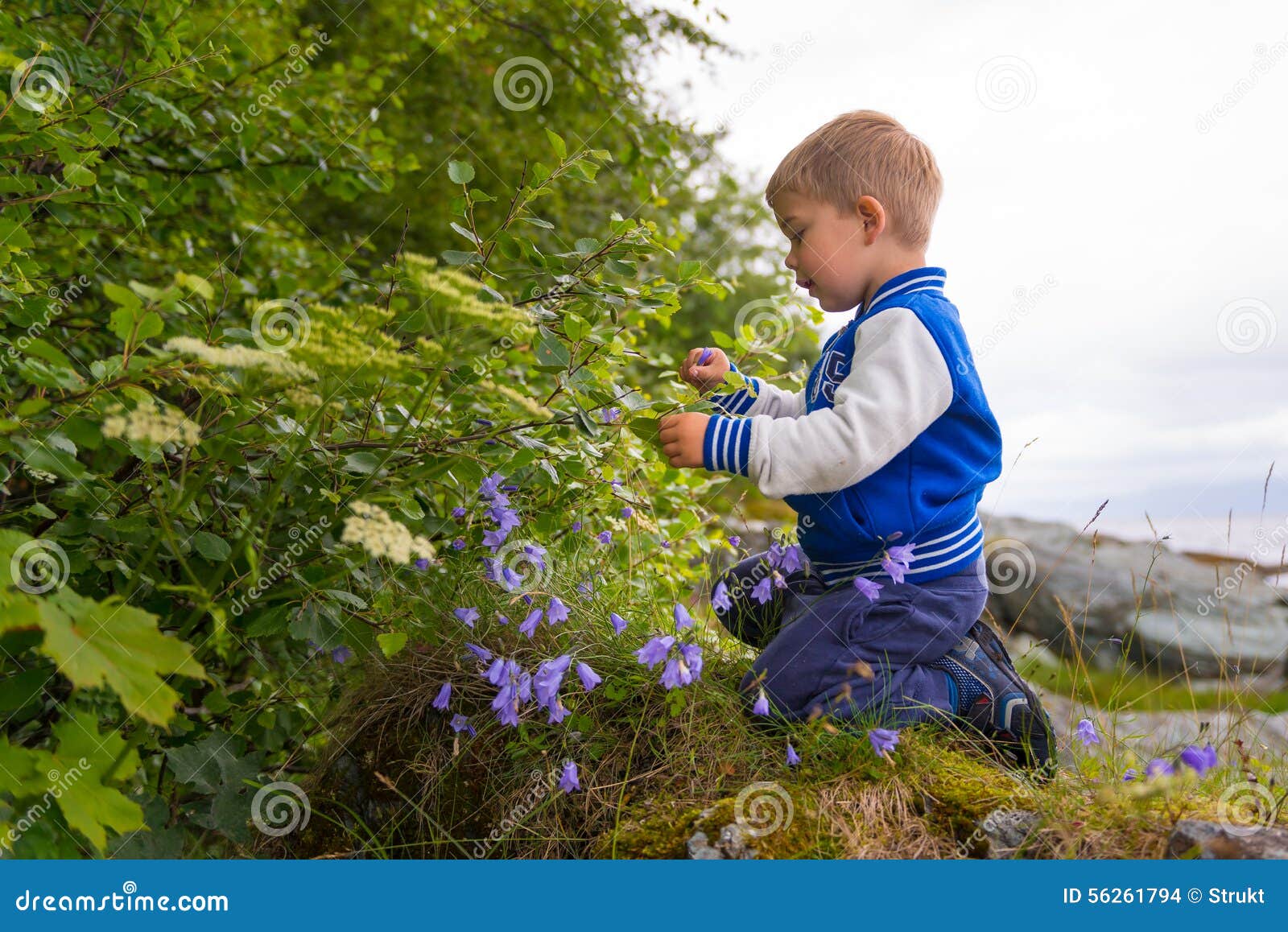 Child picking flowers stock photo. Image of nature, pick - 56261794