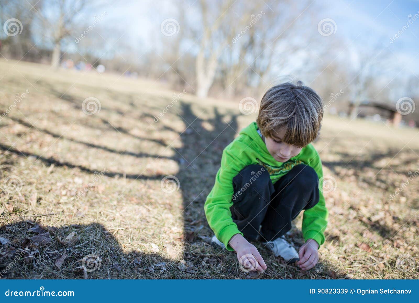 Child Picking Leaves from the Ground Stock Image - Image of person ...