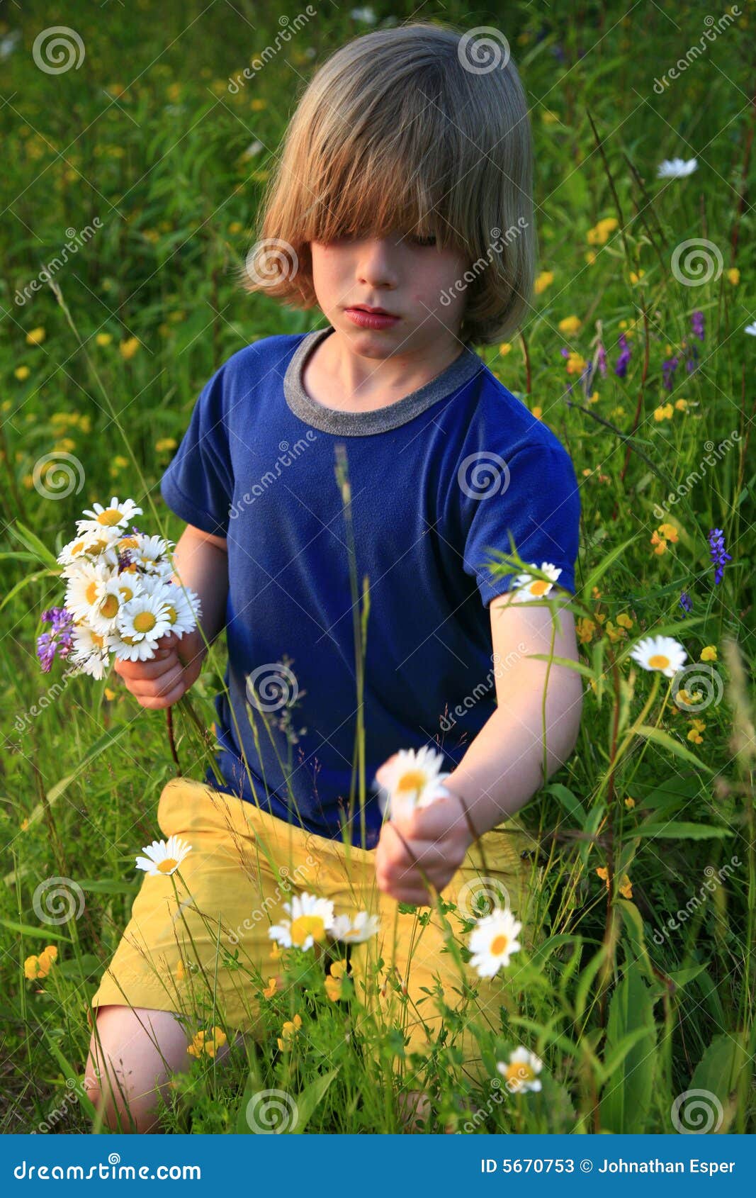 Child picking wildflowers stock image. Image of wildflowers - 5670753