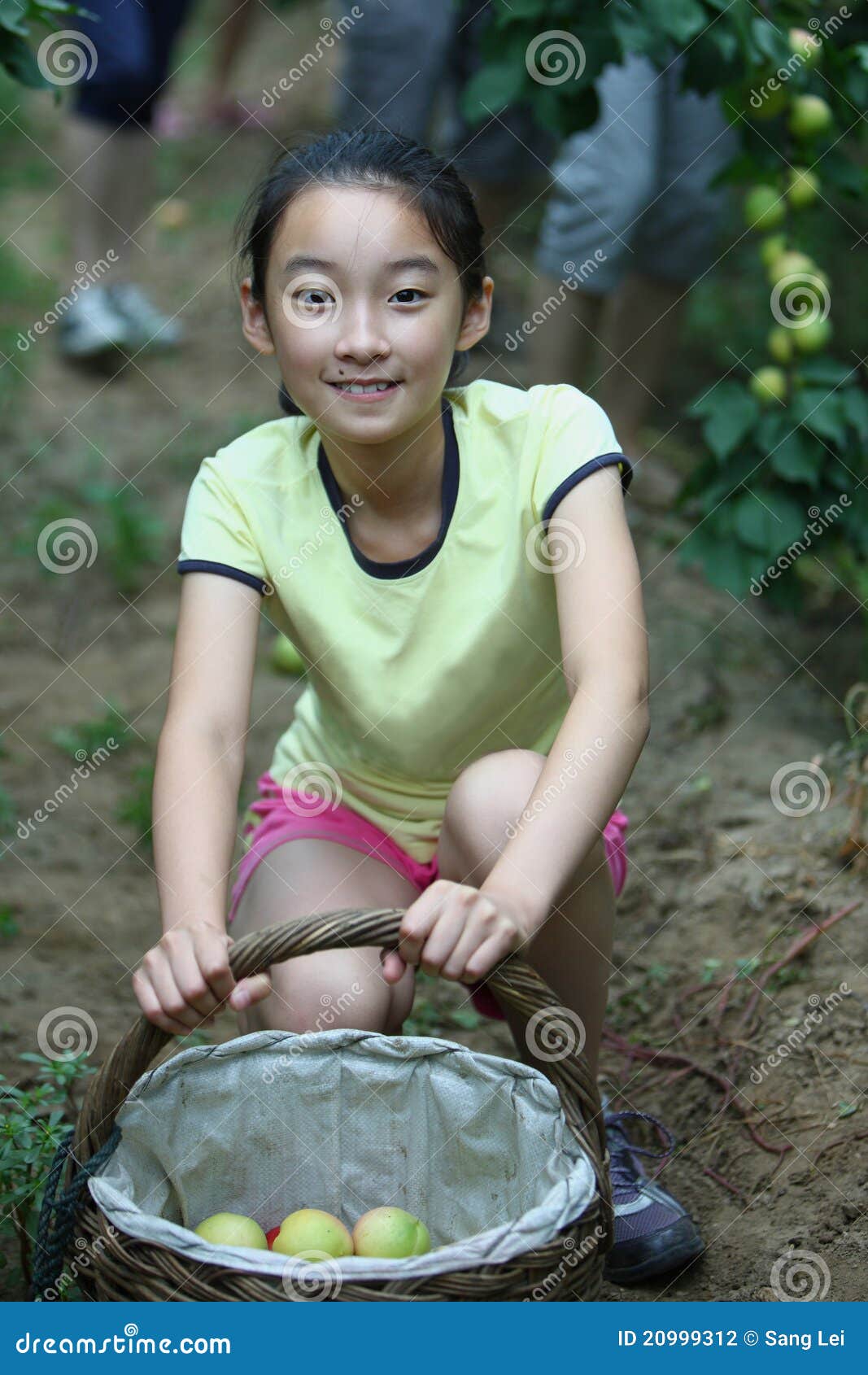 Child picks the fruit stock photo. Image of little, childhood - 20999312