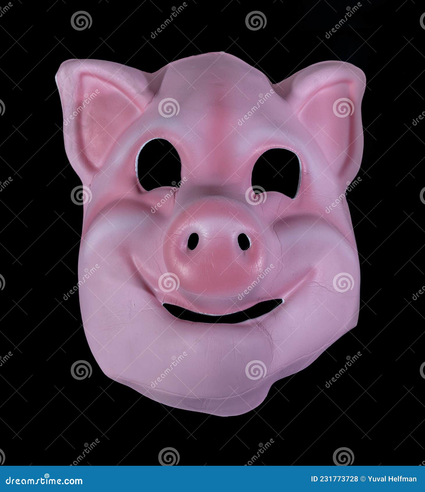 Child Pig Face Mask stock photo. Image of head, investment - 231773728
