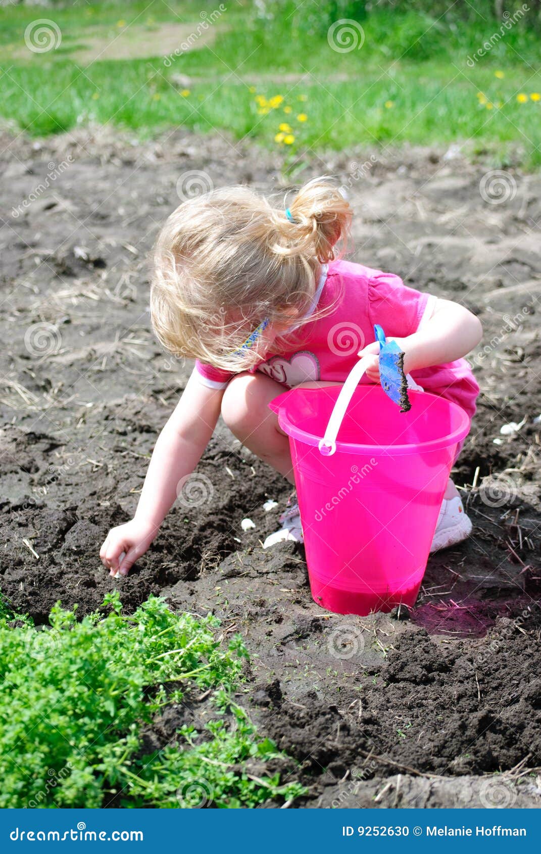 Child Planting stock photo. Image of shovel, seeds, garden - 9252630