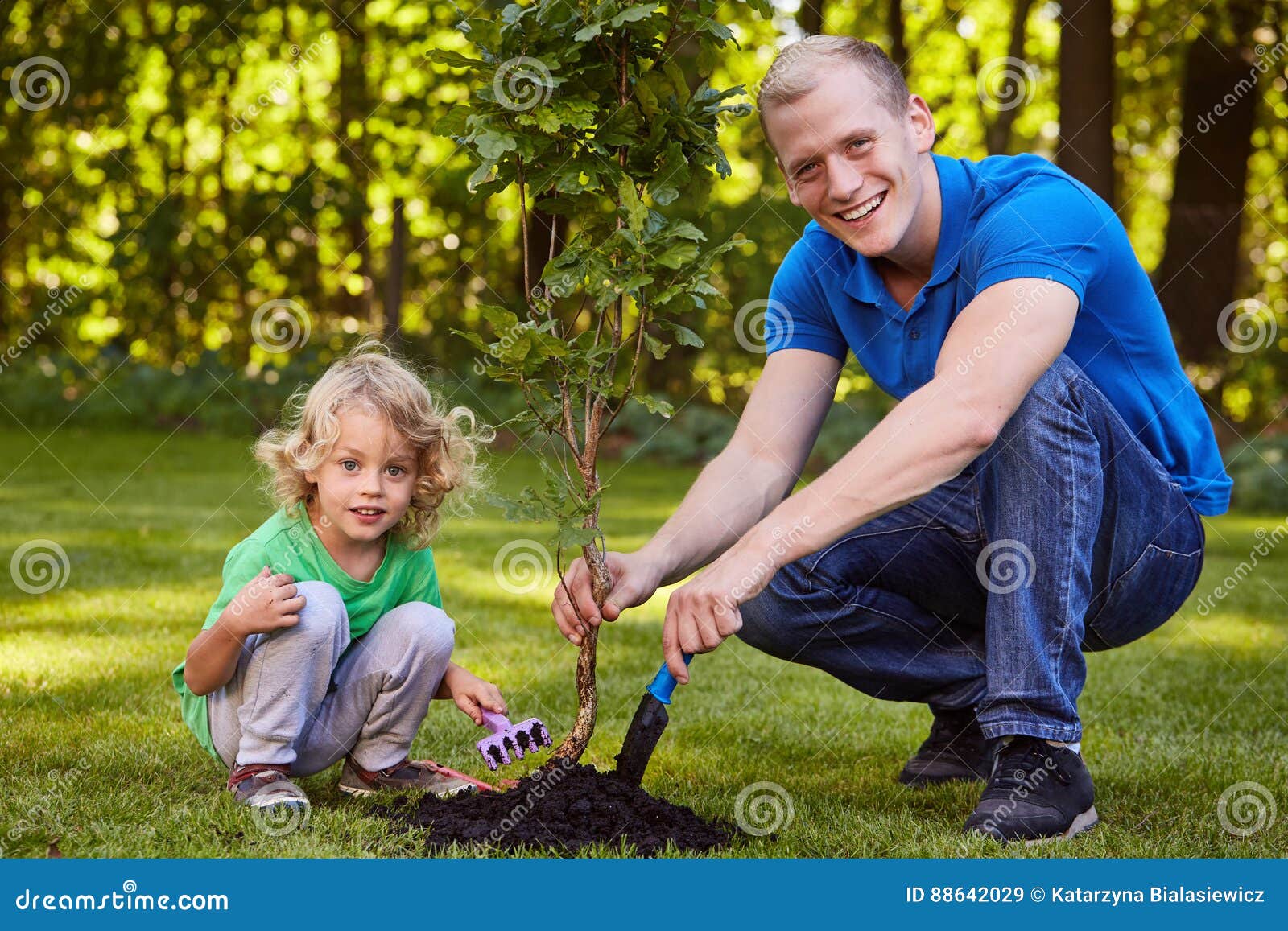 Child Planting Tree Seedling Stock Image - Image of afternoon, seedling ...