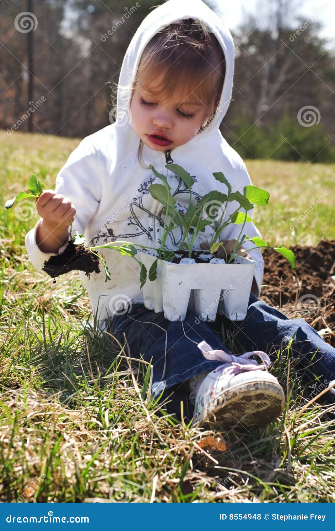 Child planting vegetables stock photo. Image of caucasian - 8554948