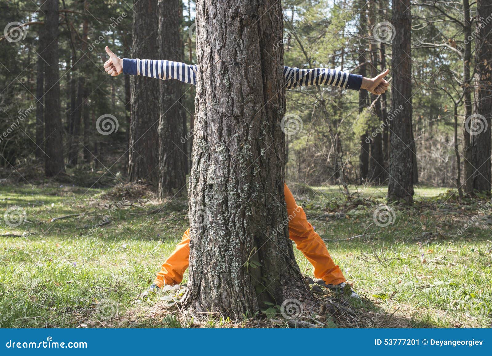 635 Child Play Behind Tree Stock Photos - Free & Royalty-Free Stock ...