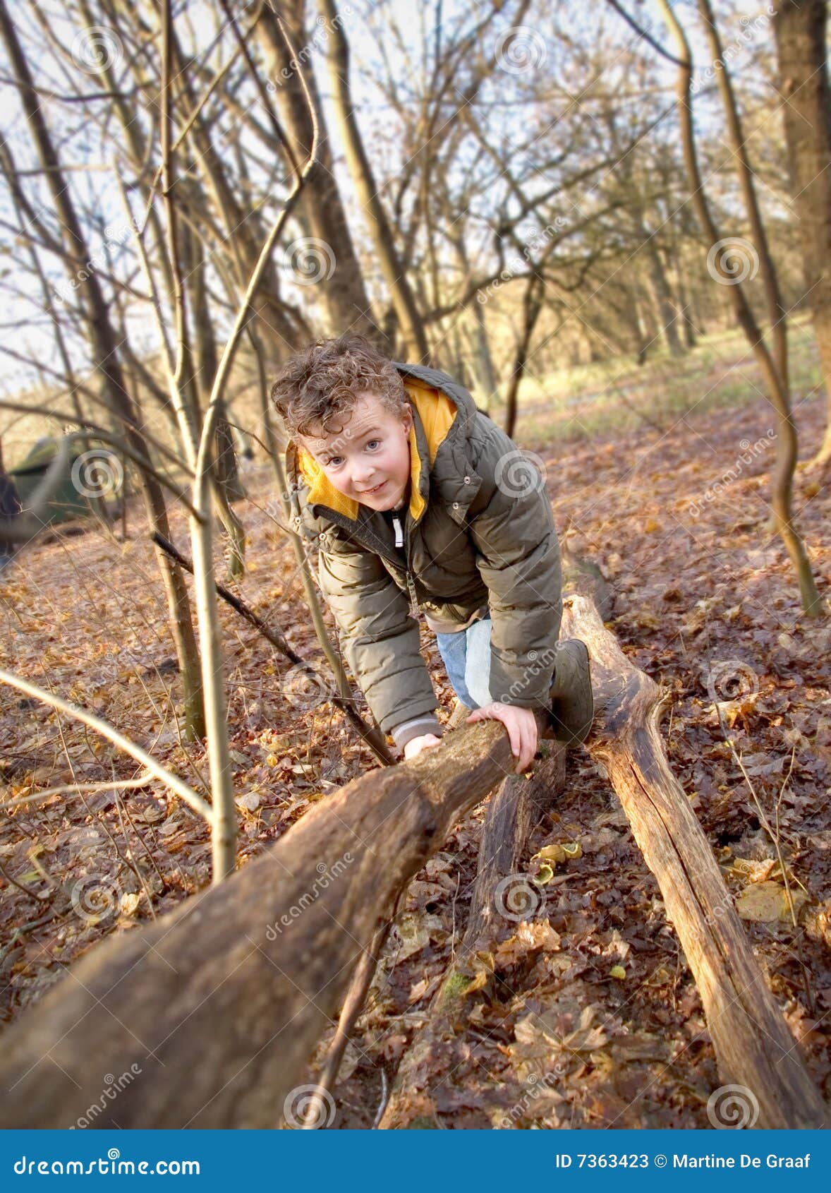 Child playing in Forest stock image. Image of careful - 7363423