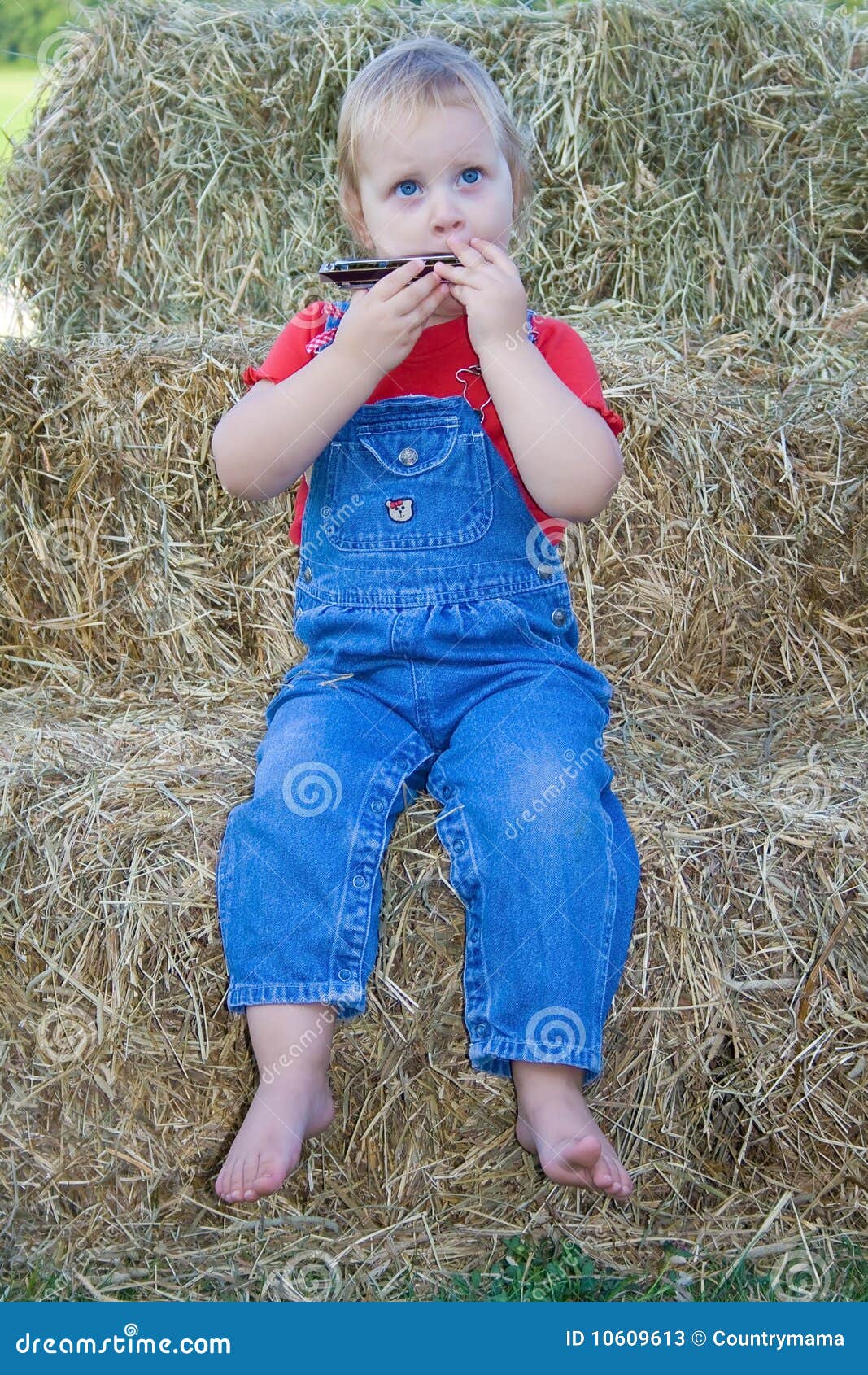 Child playing harmonica. stock image. Image of overalls - 10609613
