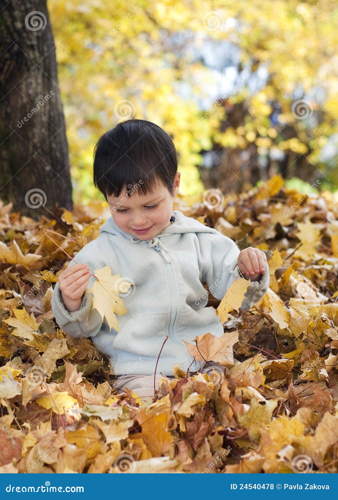 Child playing with leaves stock photo. Image of preschooler - 24540478