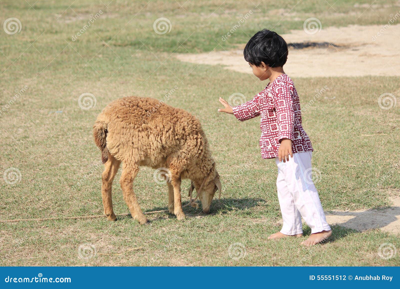 The Child is playing. stock photo. Image of outdoor, asia - 55551512