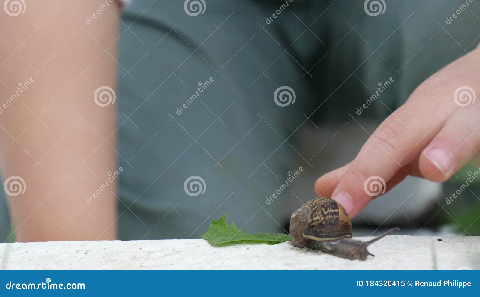 Child playing with a snail stock video. Video of garden - 184320415