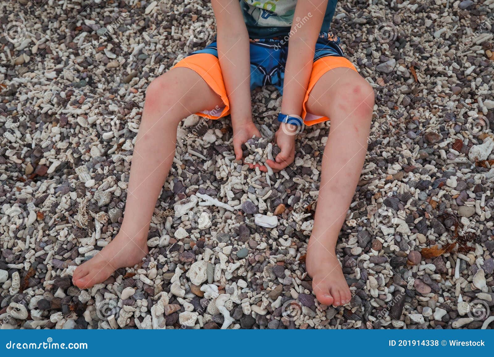 Child Playing with Tiny Rocks on the Beach Stock Photo - Image of ...