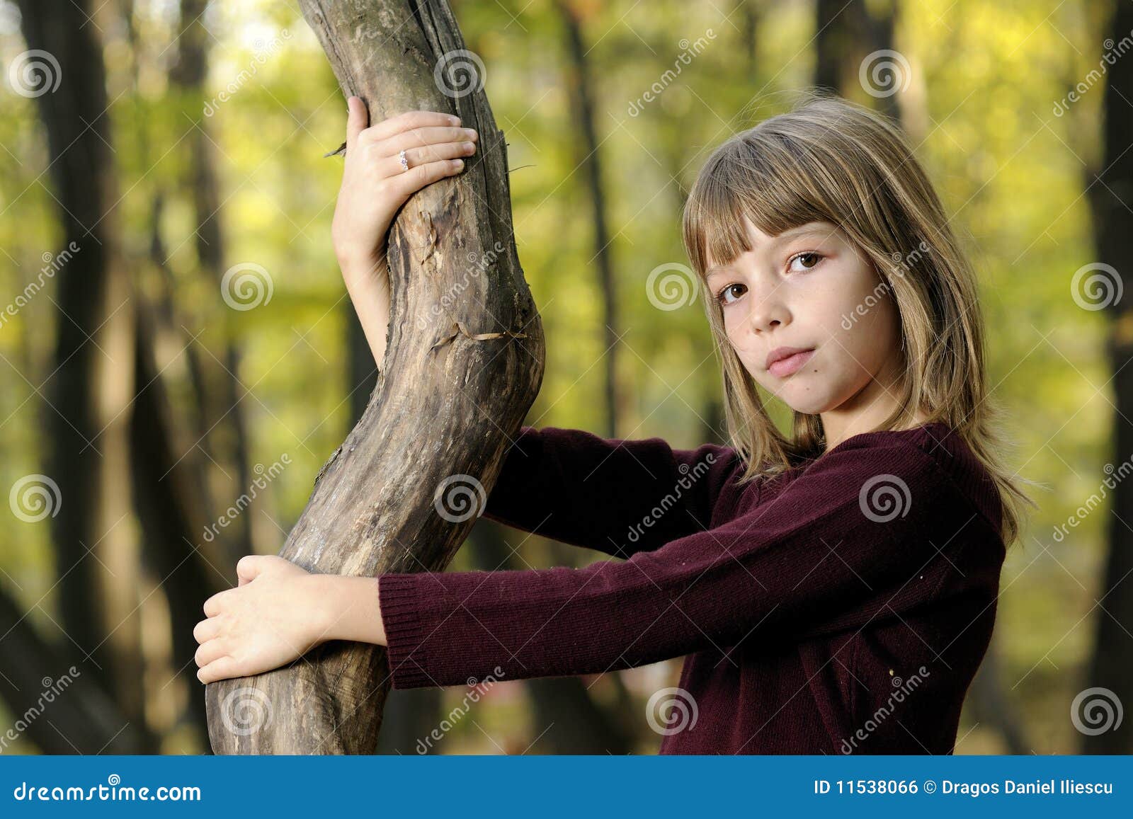 Child playing with tree stock photo. Image of autumn - 11538066