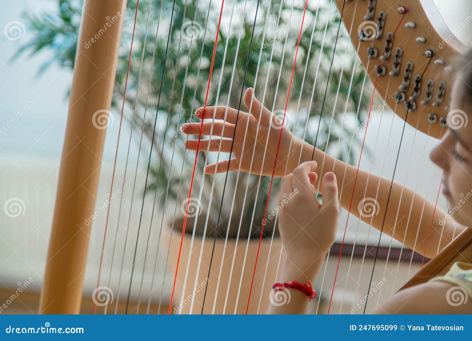 The Child Plays the Harp. Selective Focus Stock Image - Image of ...