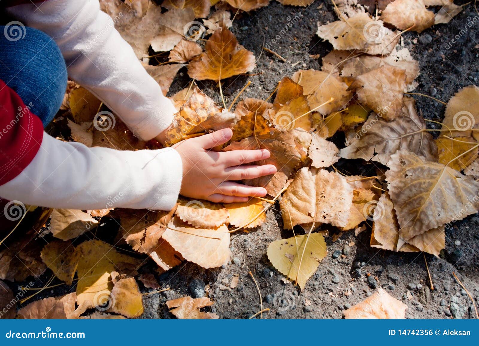 Child plying with leaves stock photo. Image of autumn - 14742356