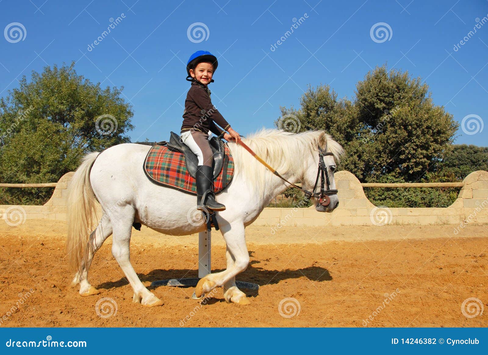 Child and pony stock photo. Image of white, purebred - 14246382