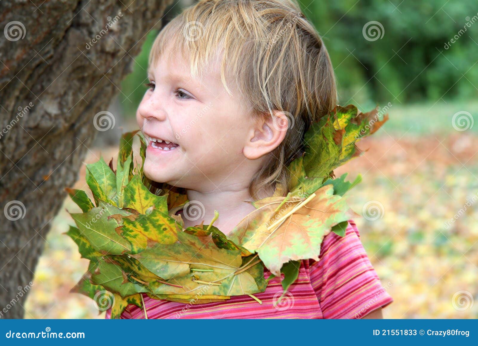 Child Portrait in Autumn Forest Stock Image - Image of adorable ...