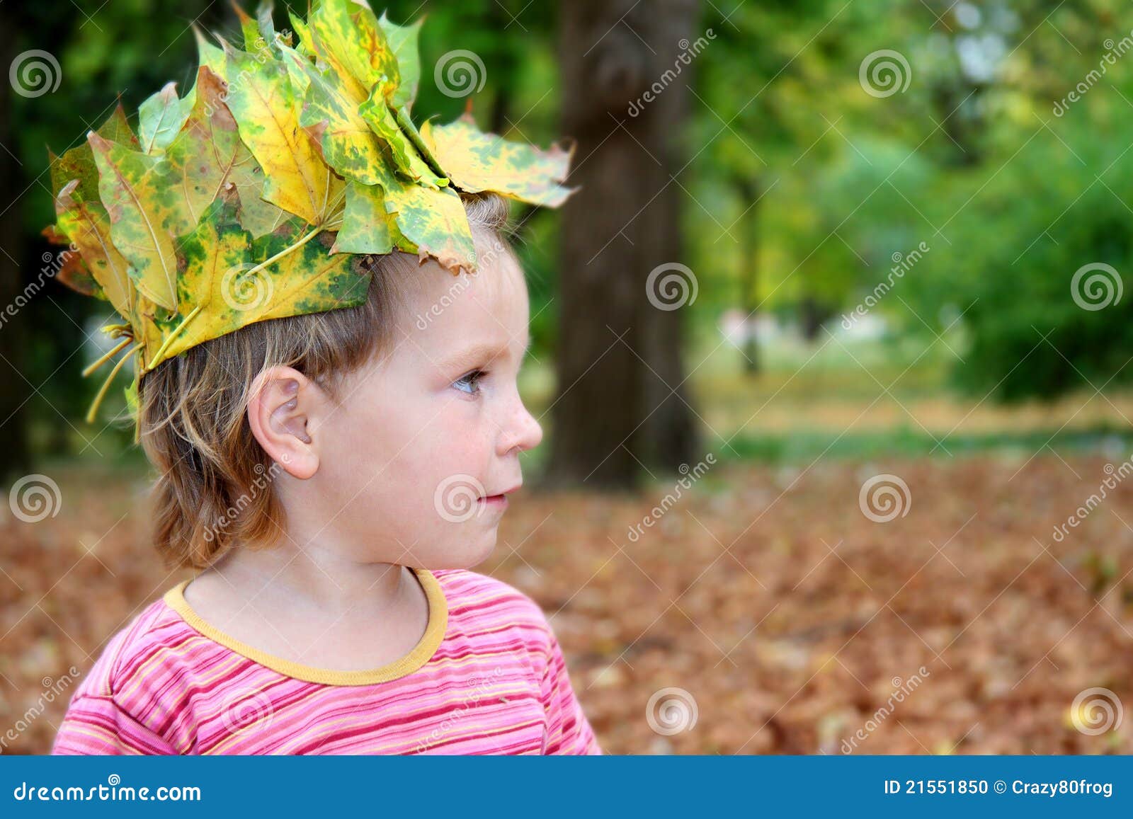 Child Portrait in Autumn Forest Stock Photo - Image of cheerful ...