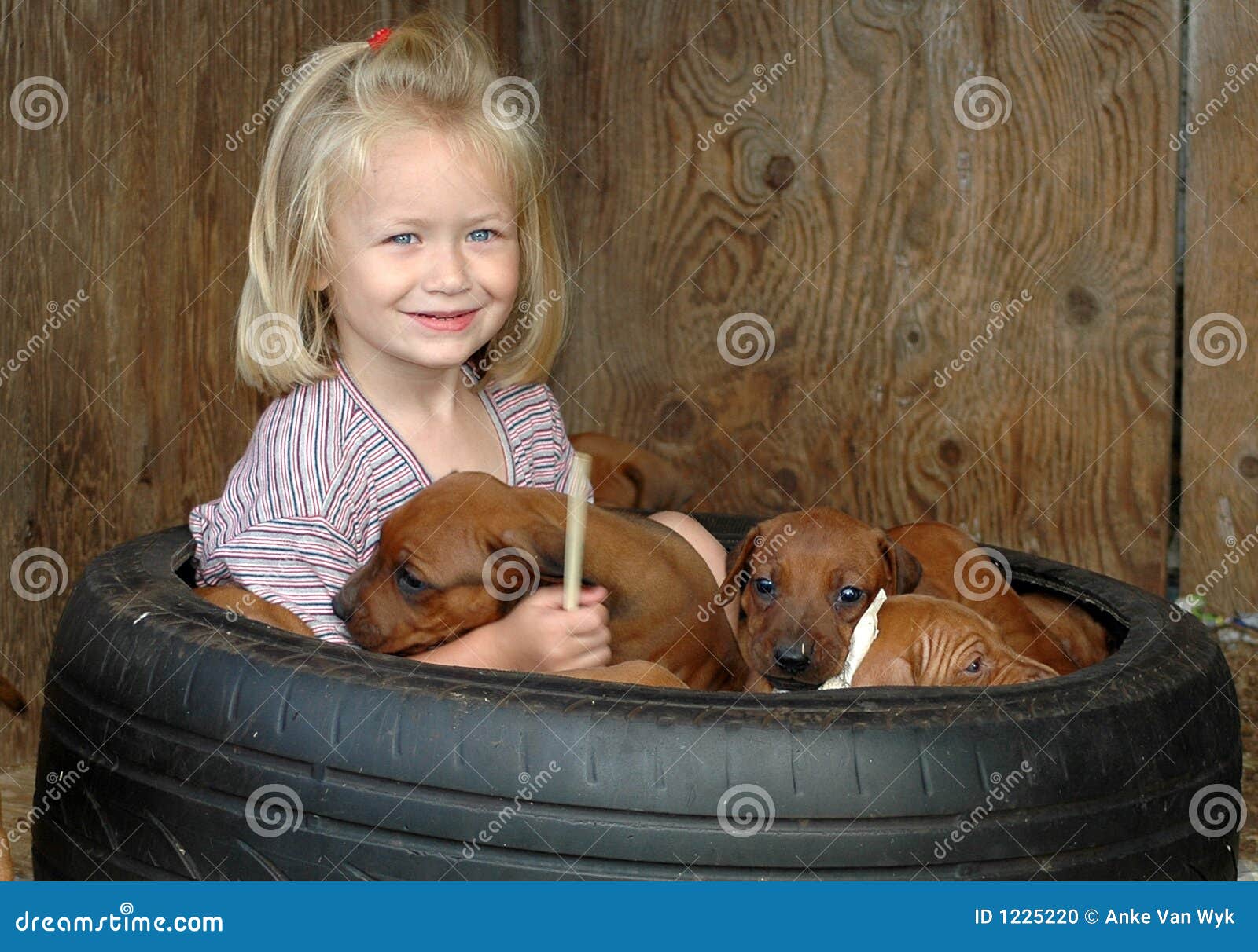 Child with puppies stock photo. Image of domestic, cuddling - 1225220