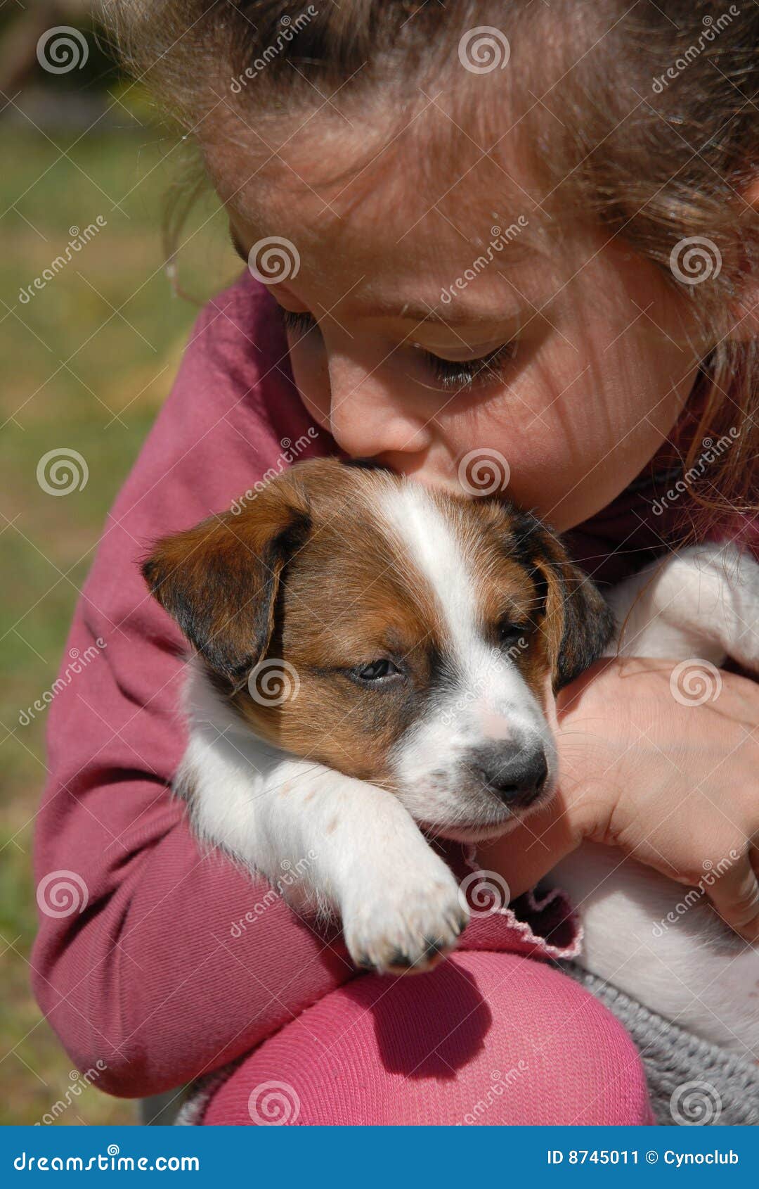 Child and puppy stock image. Image of purebred, girl, companion - 8745011