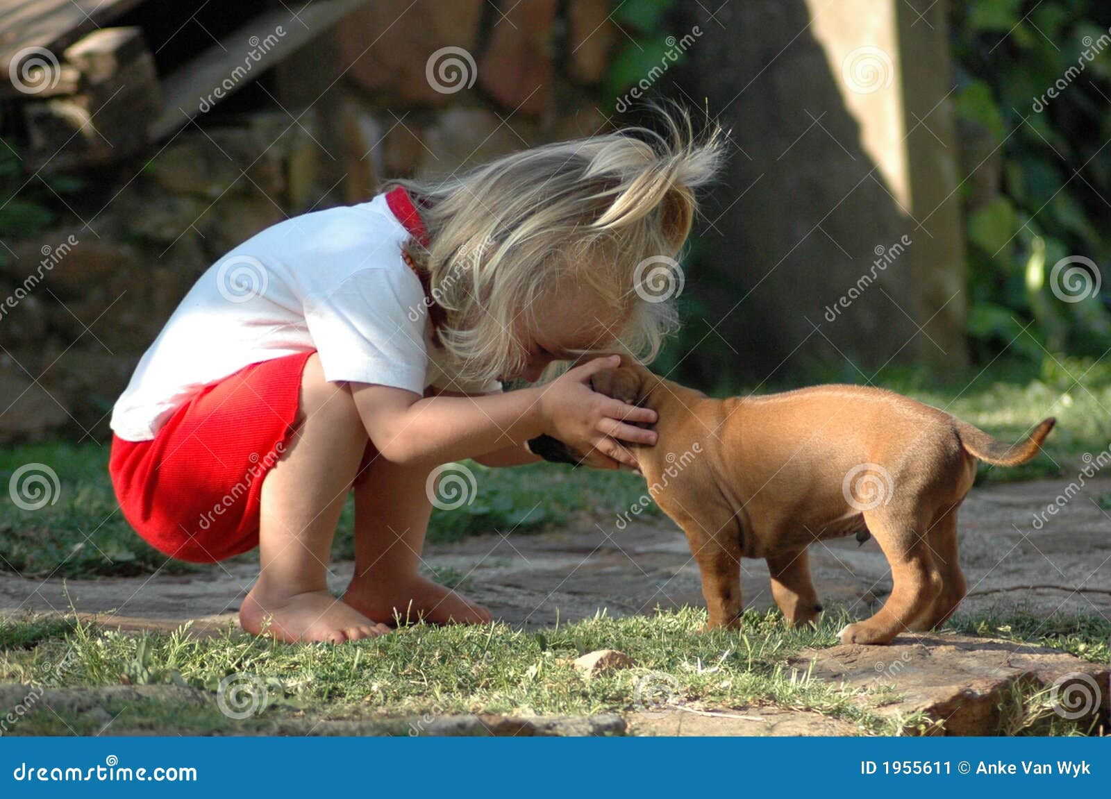 Child and puppy pet stock image. Image of girl, friendship - 1955611