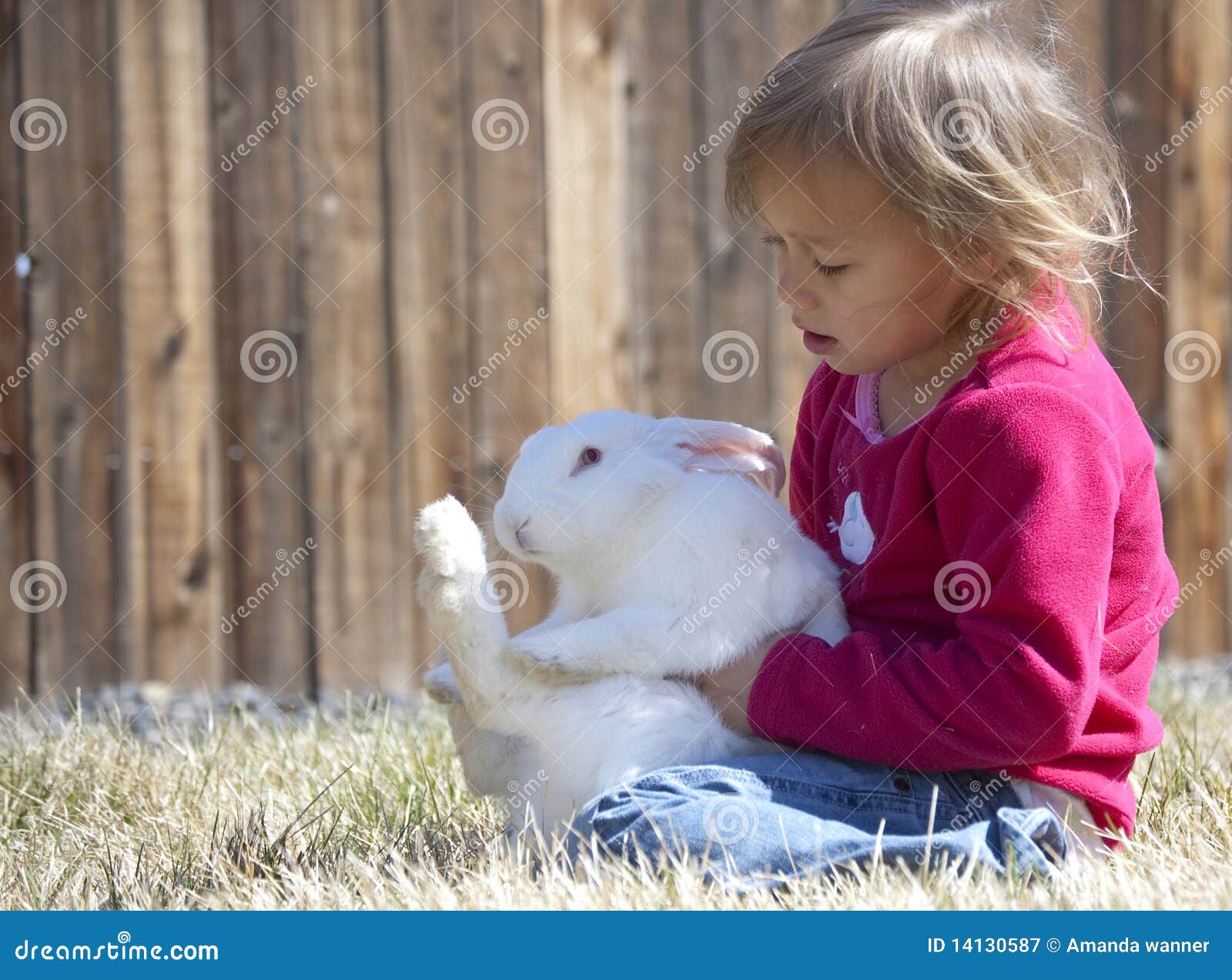 Child and rabbit stock image. Image of adorable, innocent - 14130587