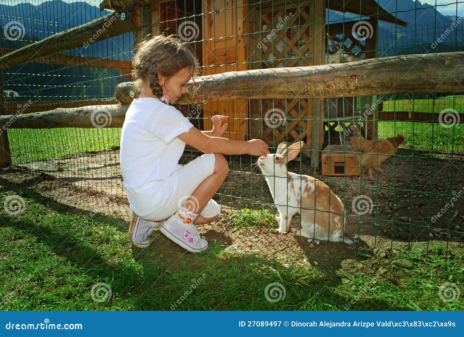 Child and rabbit stock image. Image of girl, rural, nature - 27089497