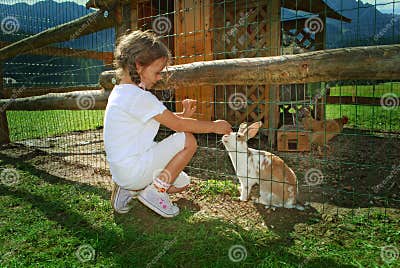 Child and rabbit stock image. Image of girl, rural, nature - 27089497