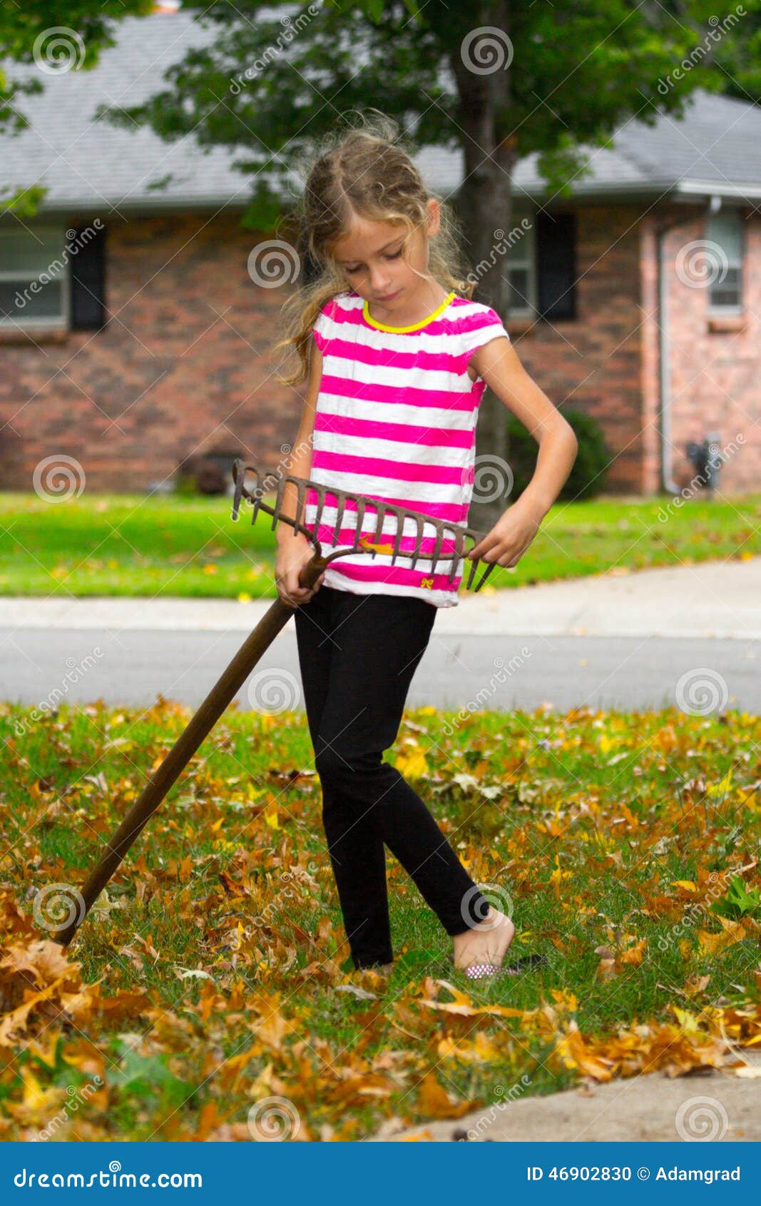 Child raking leaves stock photo. Image of rake, family - 46902830