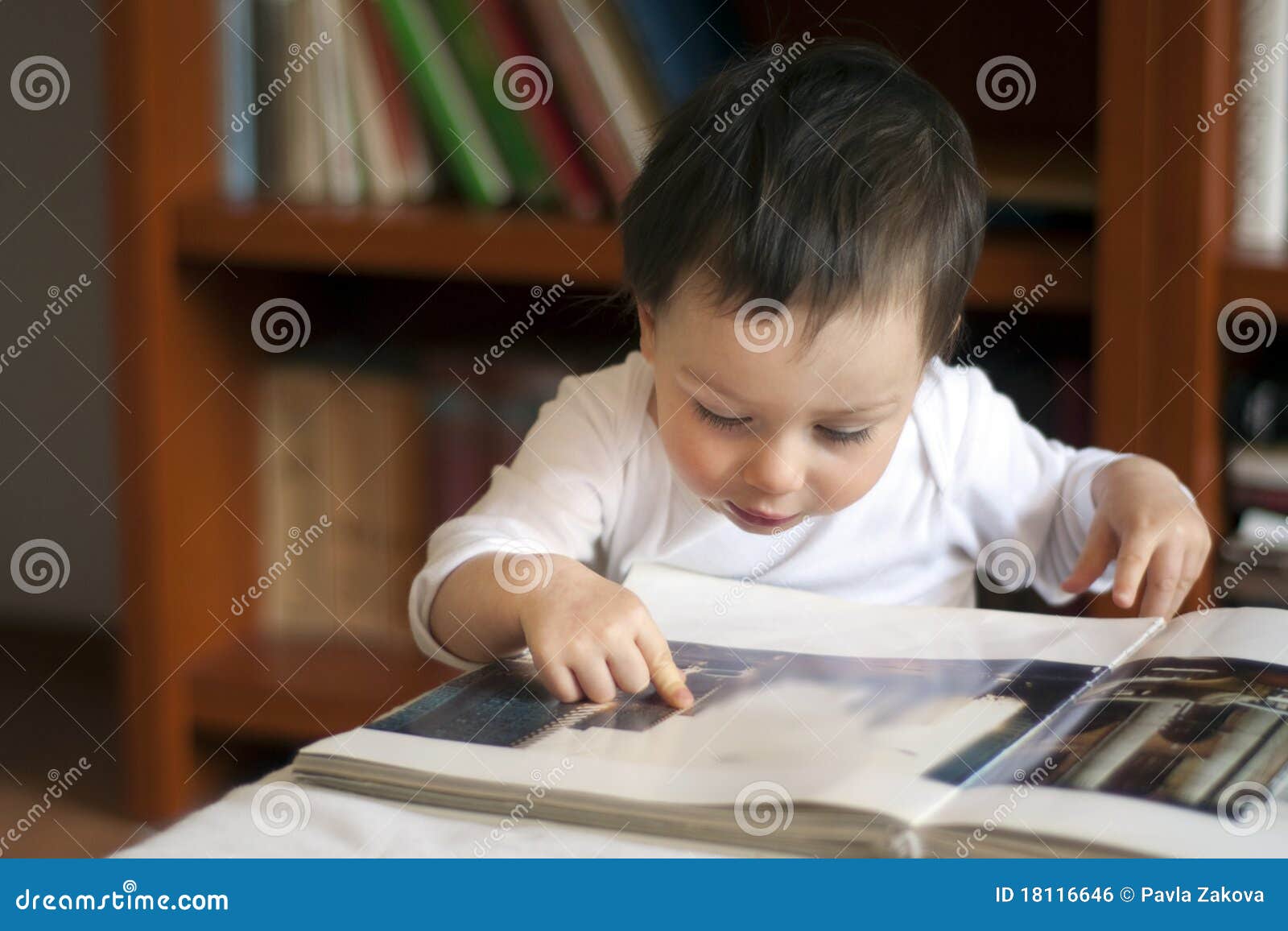 Child reading stock photo. Image of learning, indoors - 18116646