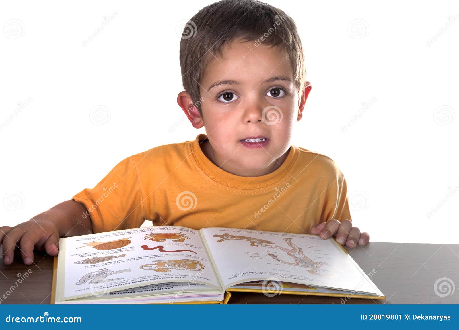Child reading stock image. Image of read, intelligent - 20819801