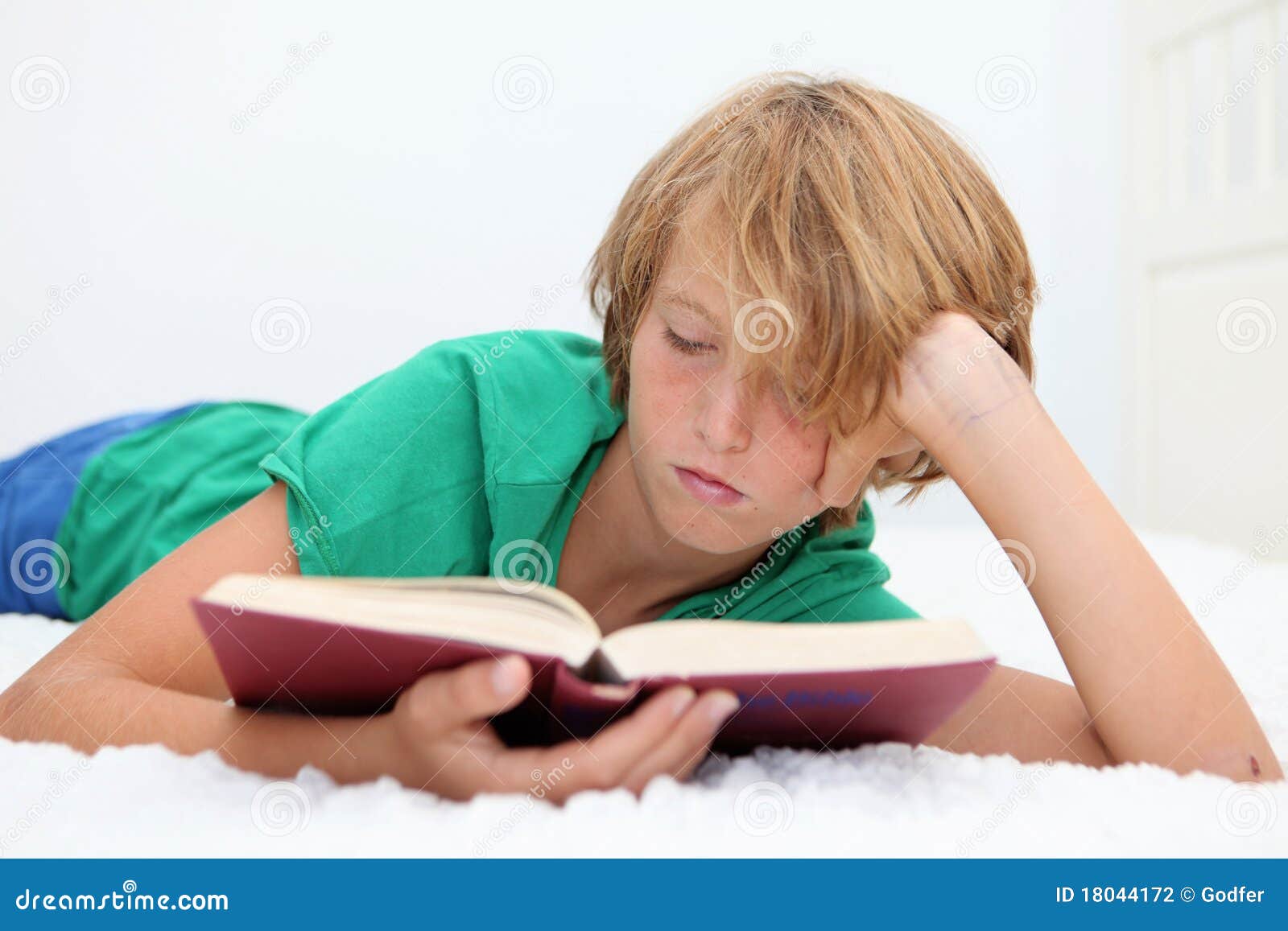 Child reading bible stock photo. Image of tweens, religious - 18044172