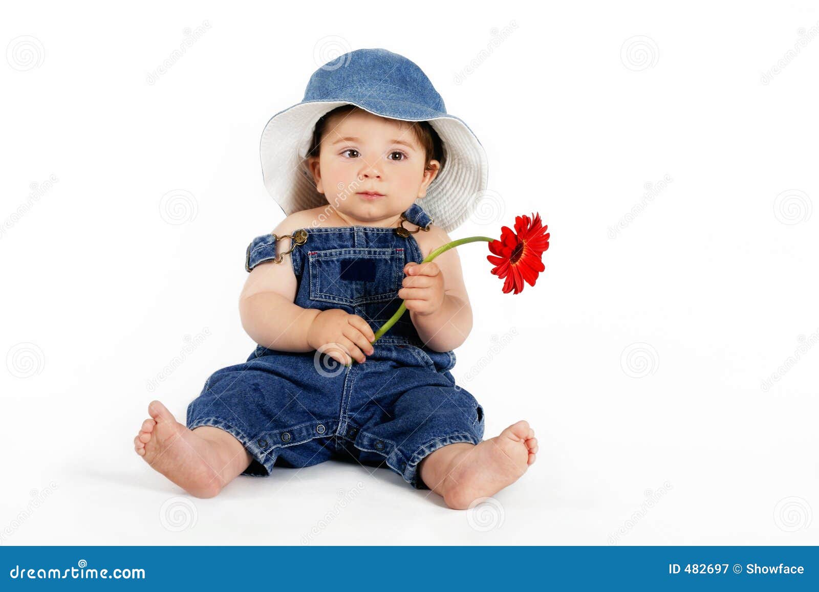 Child with a Red Daisy stock image. Image of baby, girls - 482697