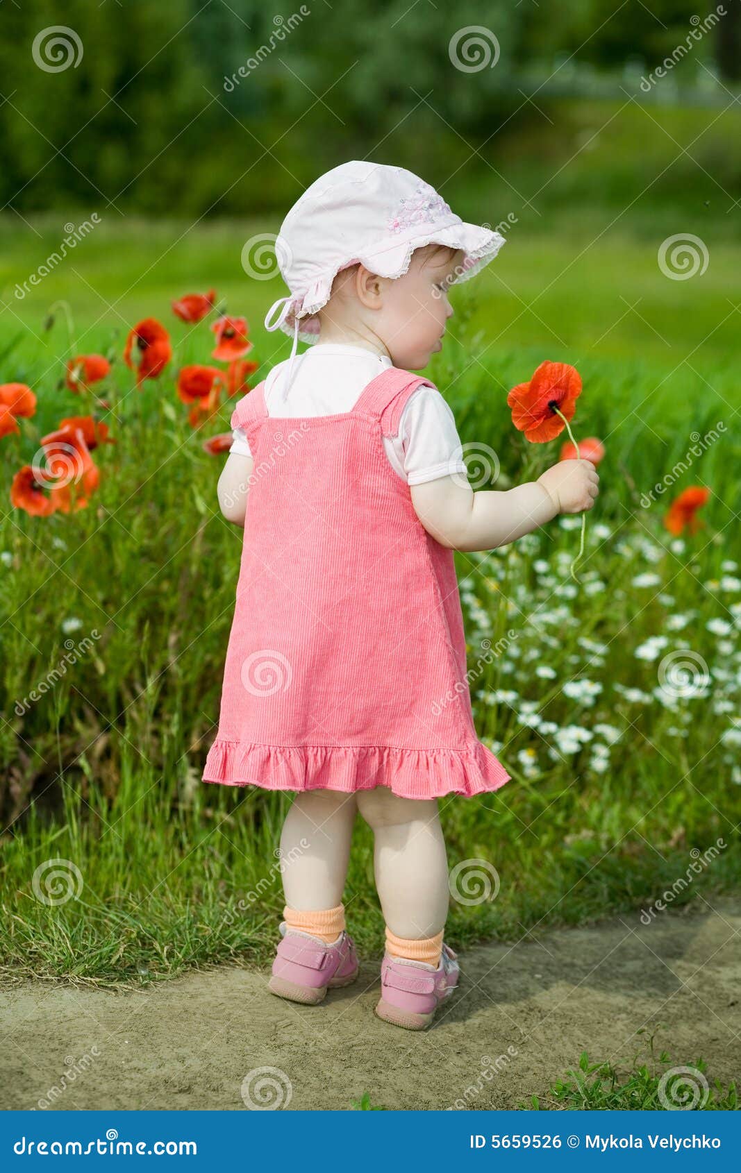 Child with red flower stock photo. Image of tranquil, green - 5659526