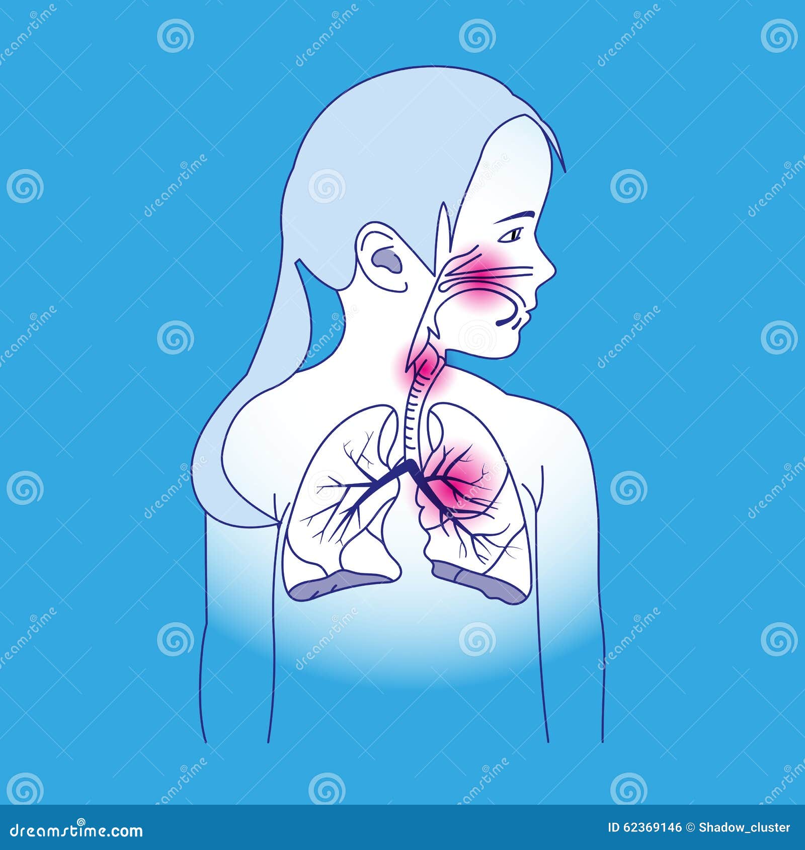 Child Respiratory Scheme Cartoon Vector | CartoonDealer.com #61247455