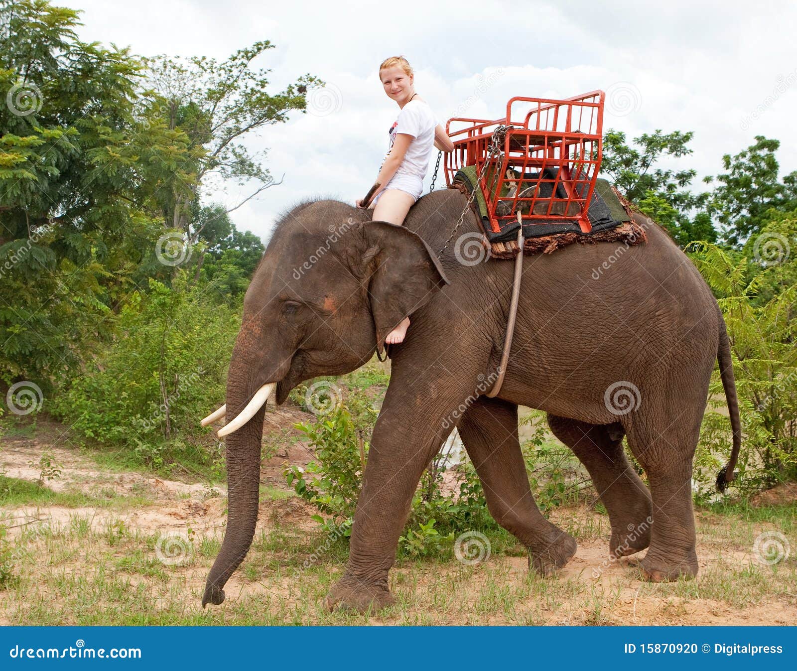 Child rides on elephant stock photo. Image of surin, ride - 15870920