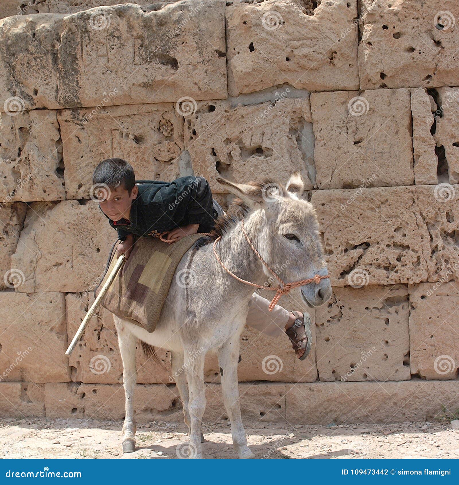 Child riding a donkey editorial photography. Image of lifestyle - 109473442