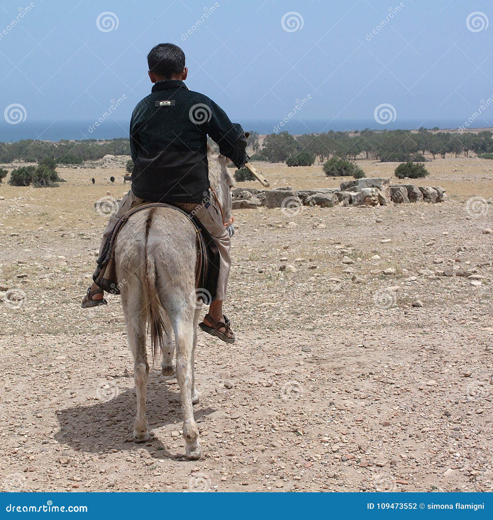 Boy Riding A Donkey Ride Slowly Through The Streets Of The Village. The ...