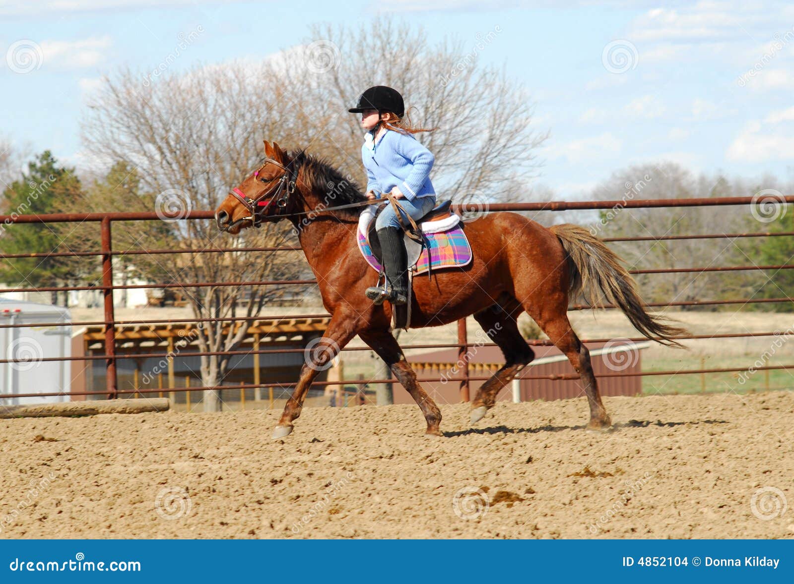 Boy Riding Pony Horse Stock Image | CartoonDealer.com #32435191