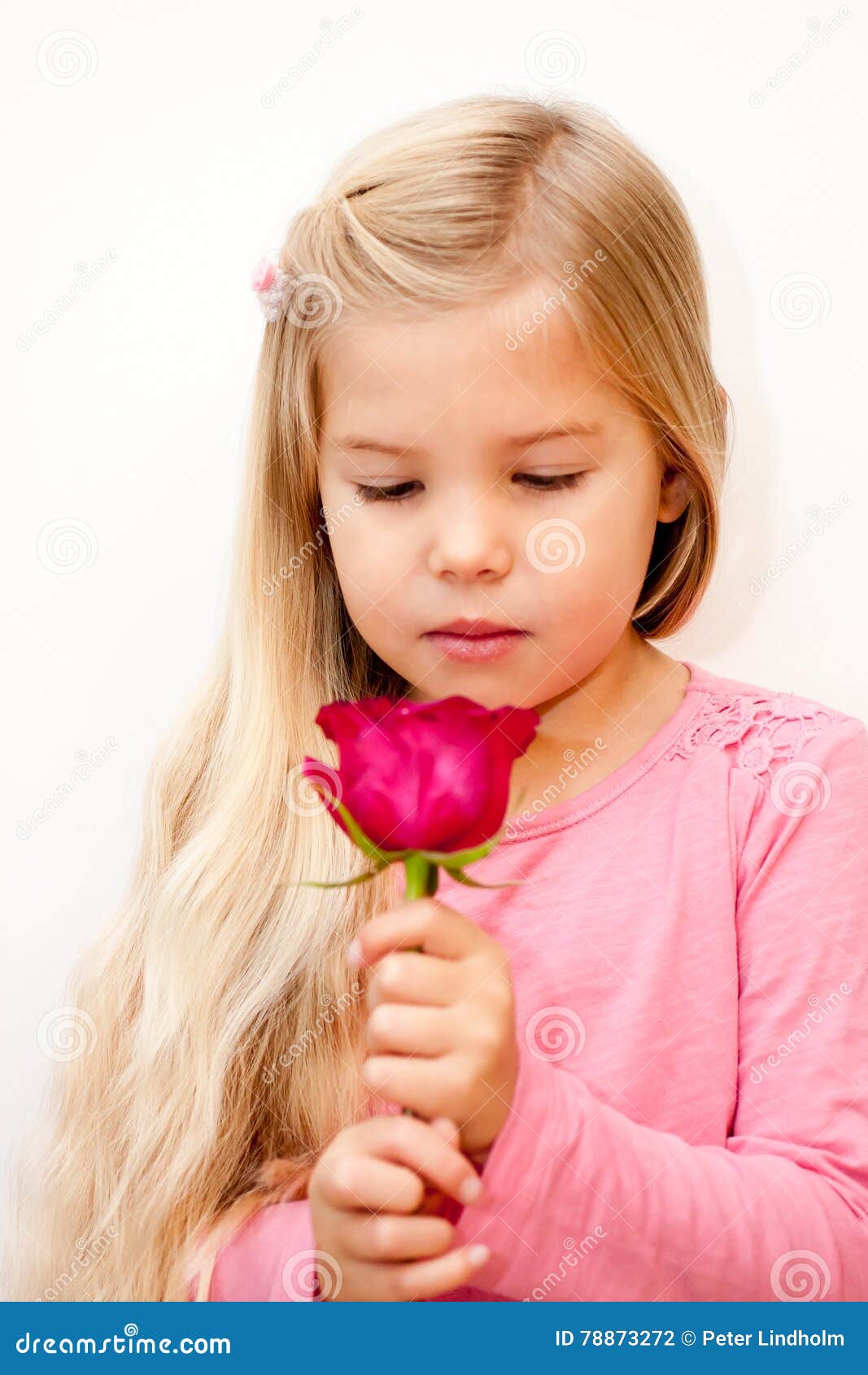 Child with Rose stock photo. Image of longhair, head - 78873272