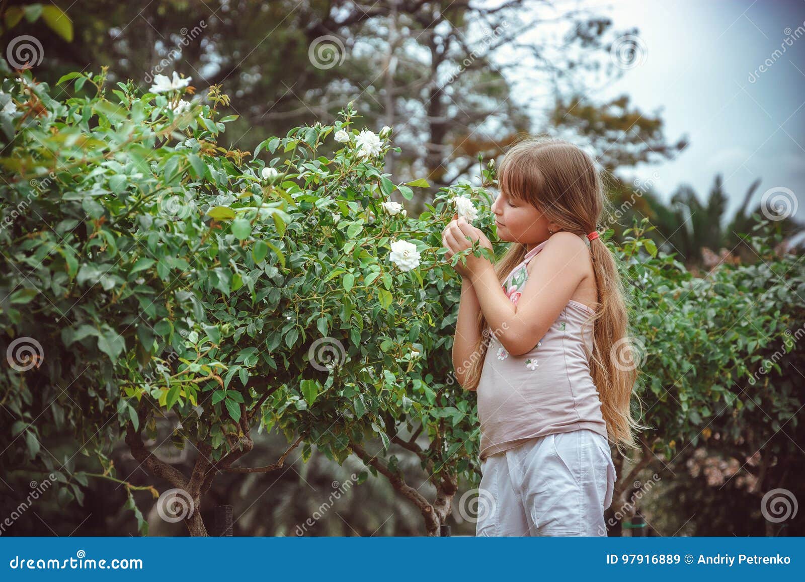 Child with Rose Flower in Spring Garden Stock Image - Image of healthy ...