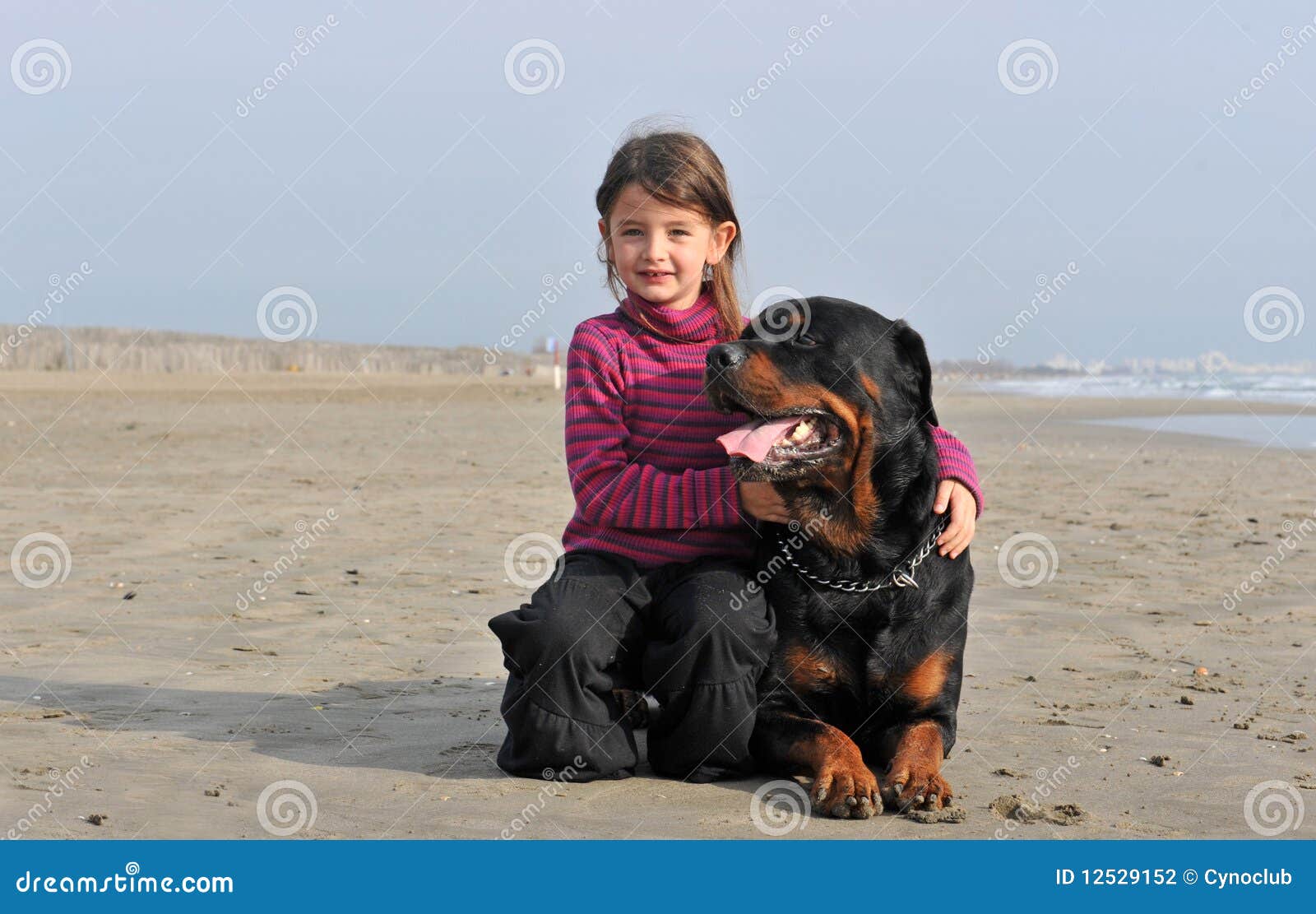 Child and rottweiler stock photo. Image of girl, child - 12529152