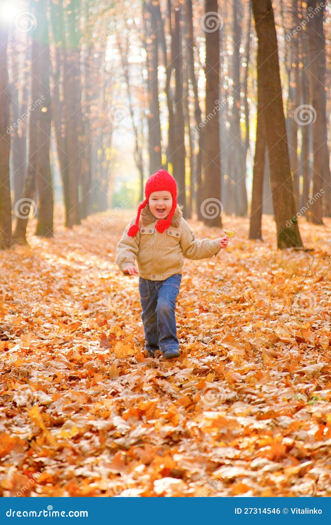 Child Running in Autumn Forest Stock Photo - Image of little, beautiful ...