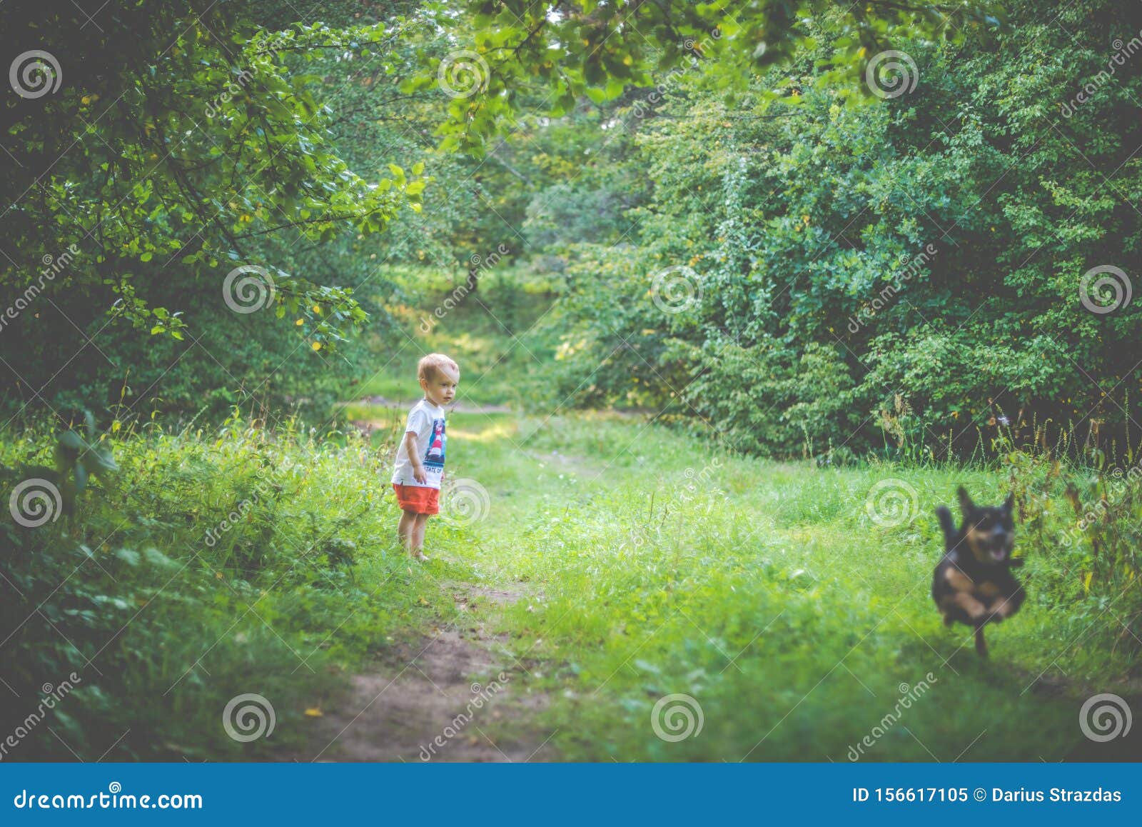 Child running with a dog stock image. Image of kind - 156617105