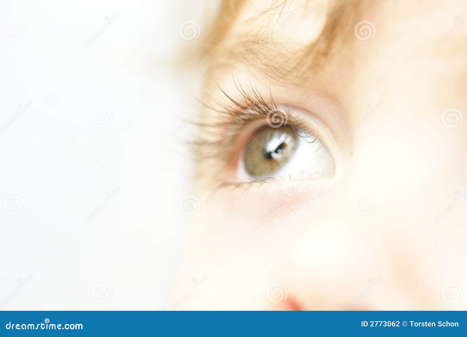 Child s eye stock photo. Image of pupil, sense, watch - 2773062