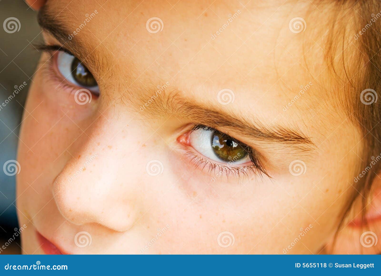A Child s Eyes stock photo. Image of beautiful, closeup - 5655118